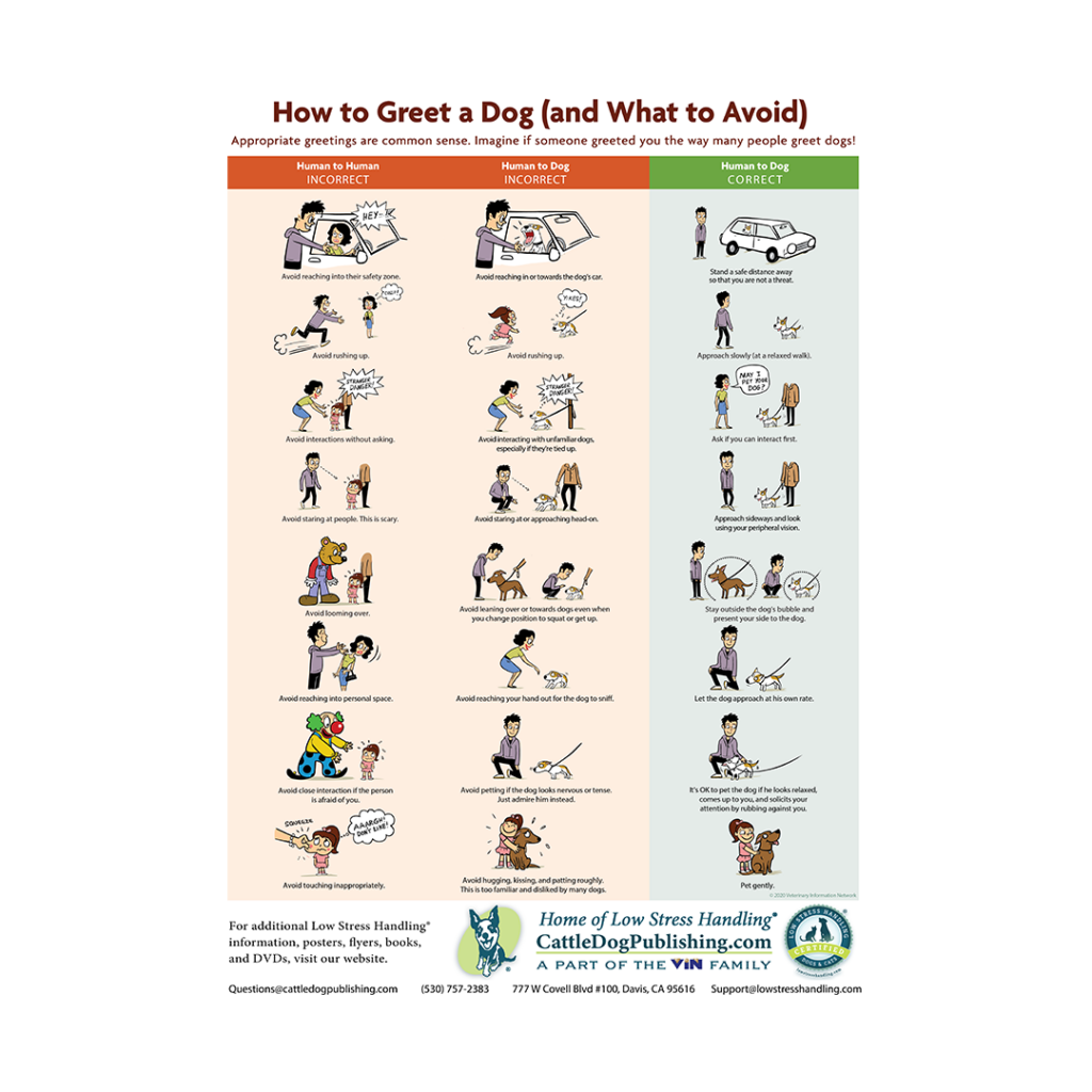 How To Greet A Dog Poster (Packet of 25 Handouts) – CattleDog Publishing