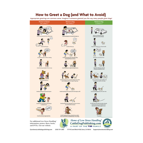 How To Greet A Dog Poster (Packet of 25 Handouts) – CattleDog Publishing