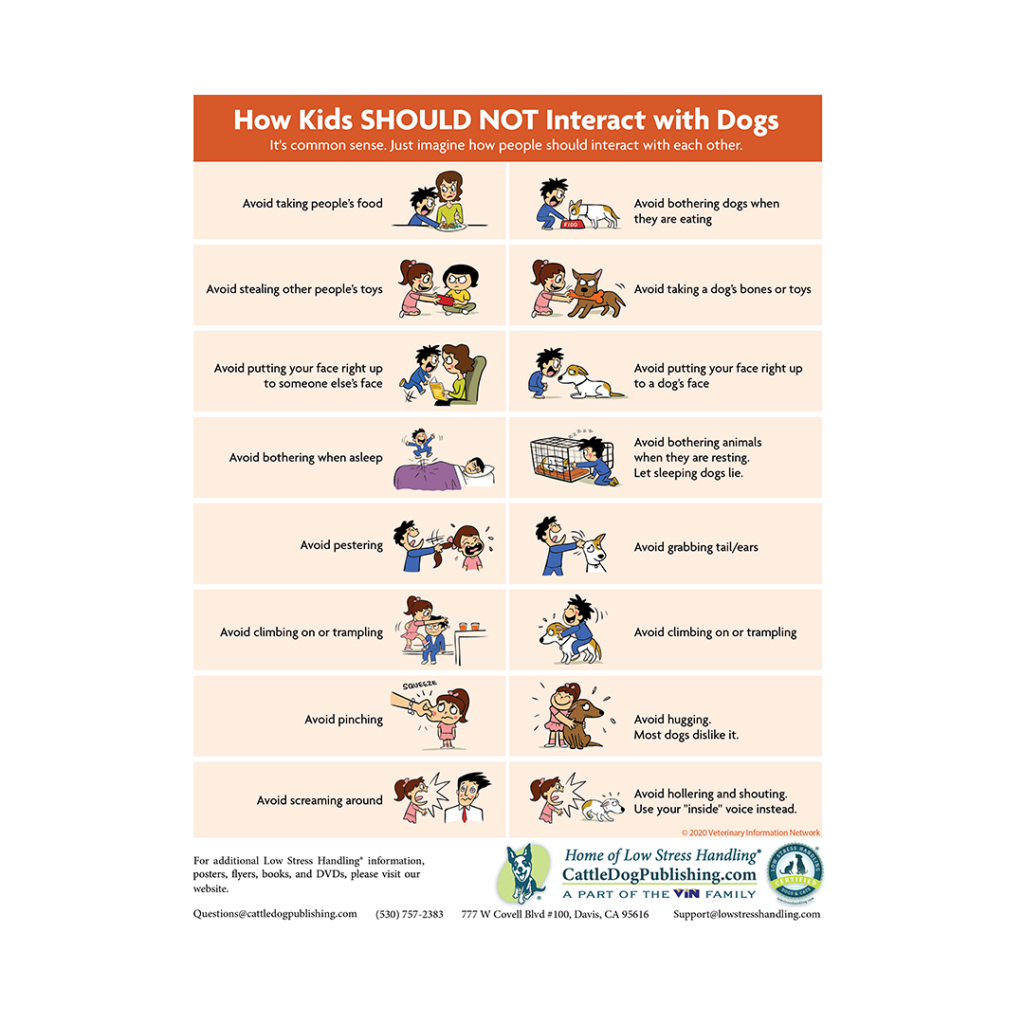 I am a Shelter Worker – CattleDog Publishing