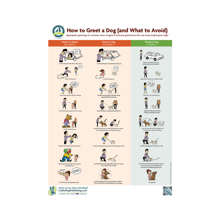 How To Greet A Dog Poster (Packet of 25 Handouts) – CattleDog Publishing