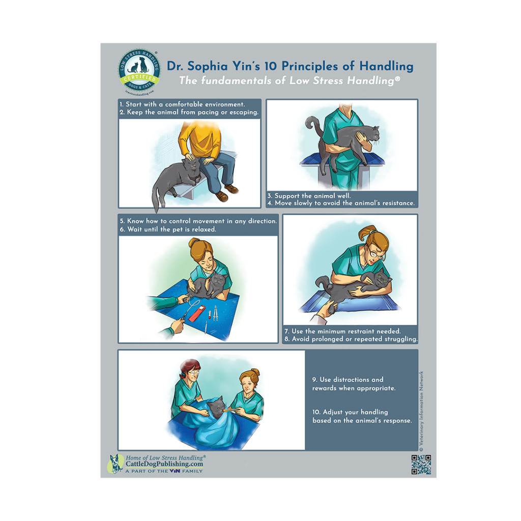 Dr. Yin’s 10 Principles of Handling Cat Poster (Packet of 25 Handouts ...