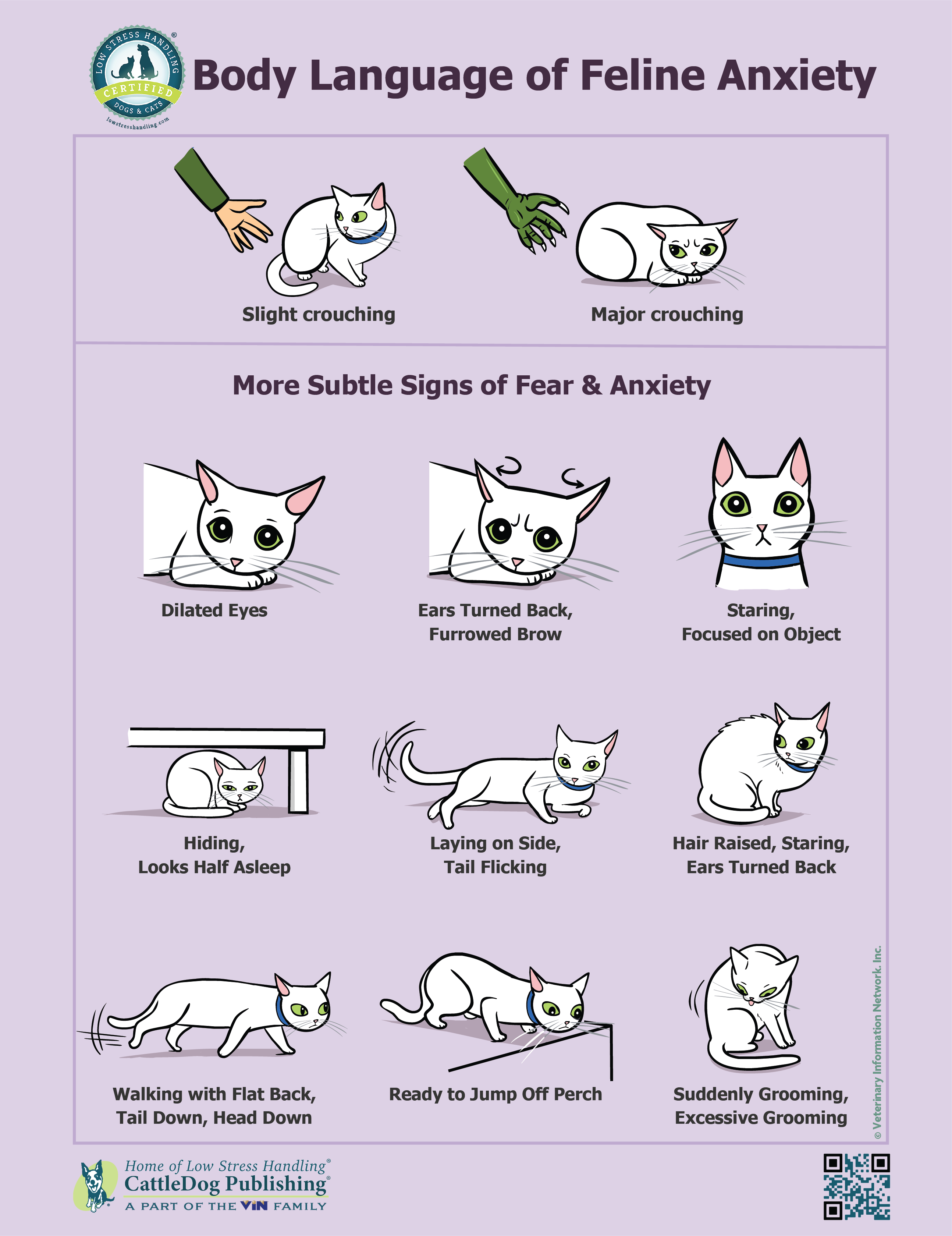 CDP Body Language of Feline Anxiety – CattleDog Publishing