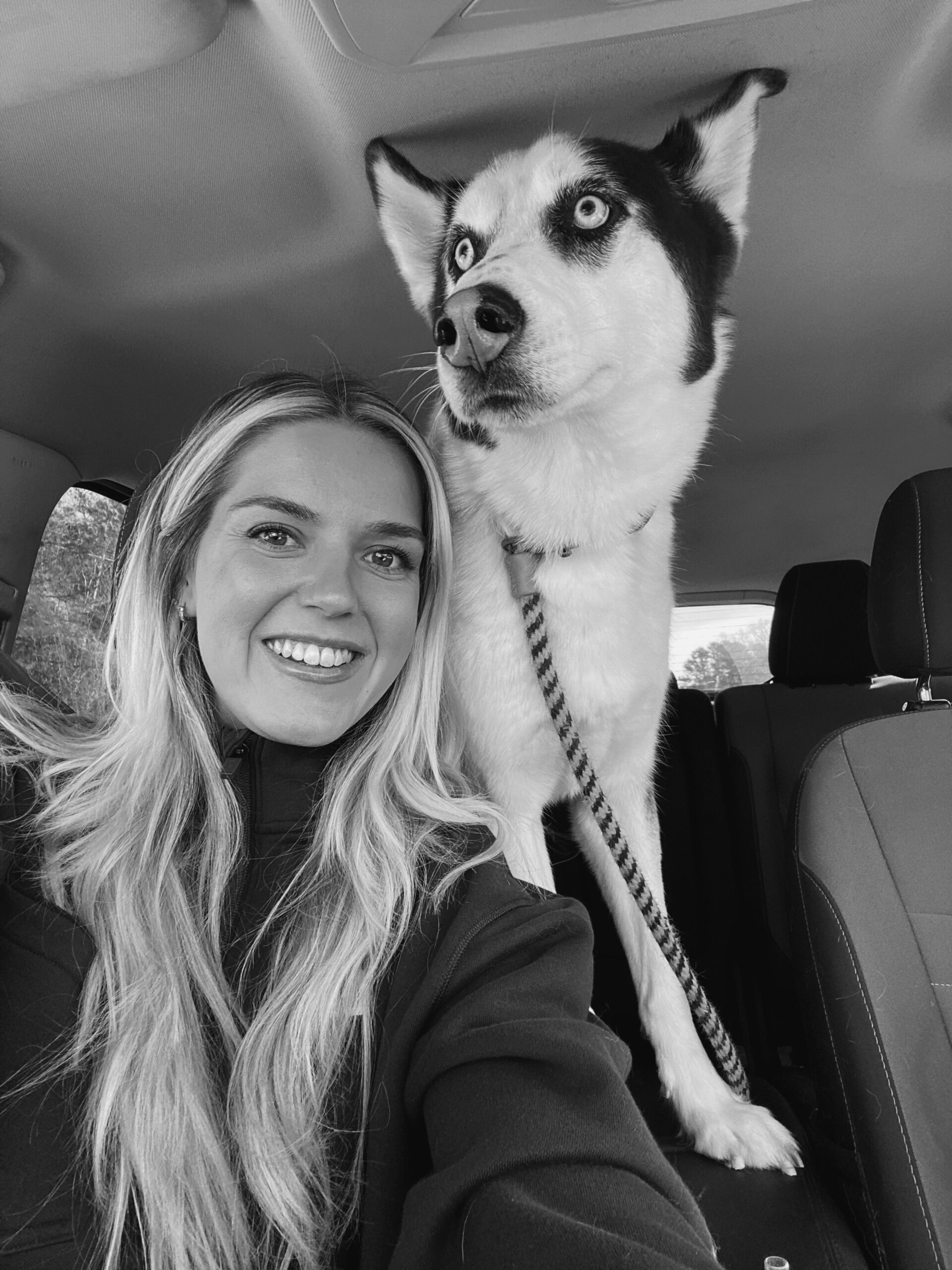 Jamie Johnson – CattleDog Publishing